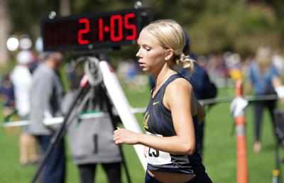 Solo successes spur Bears toward ACC Championships | Cross Country ...