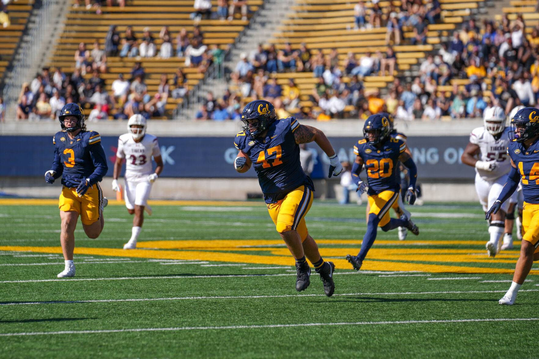 Bears host Blue Devils in Homecoming matchup | Football | dailycal.org