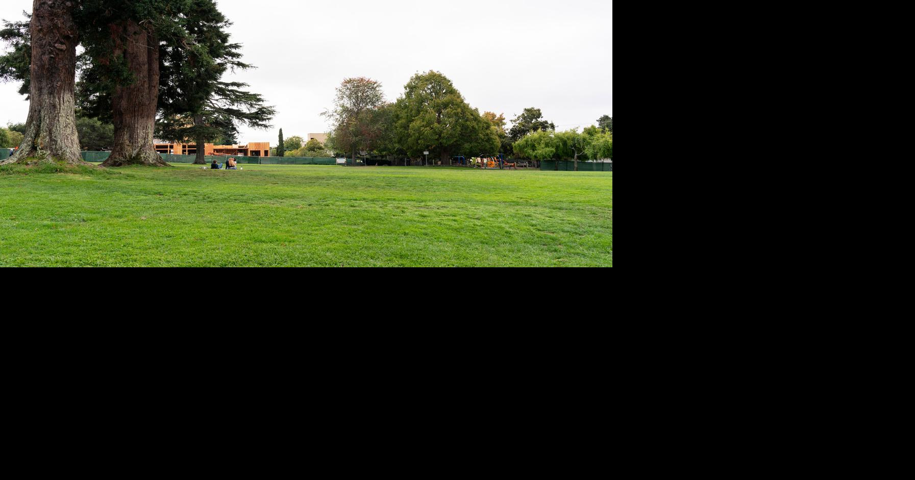 Rating my top green spaces in Berkeley | Blog | dailycal.org