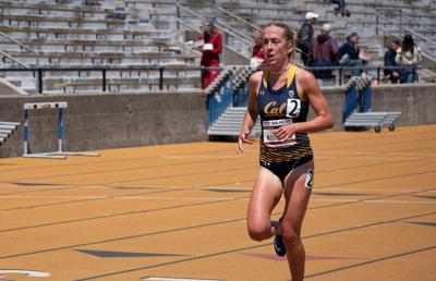 Bears open season with impressive outing in Spokane | Track and Field ...