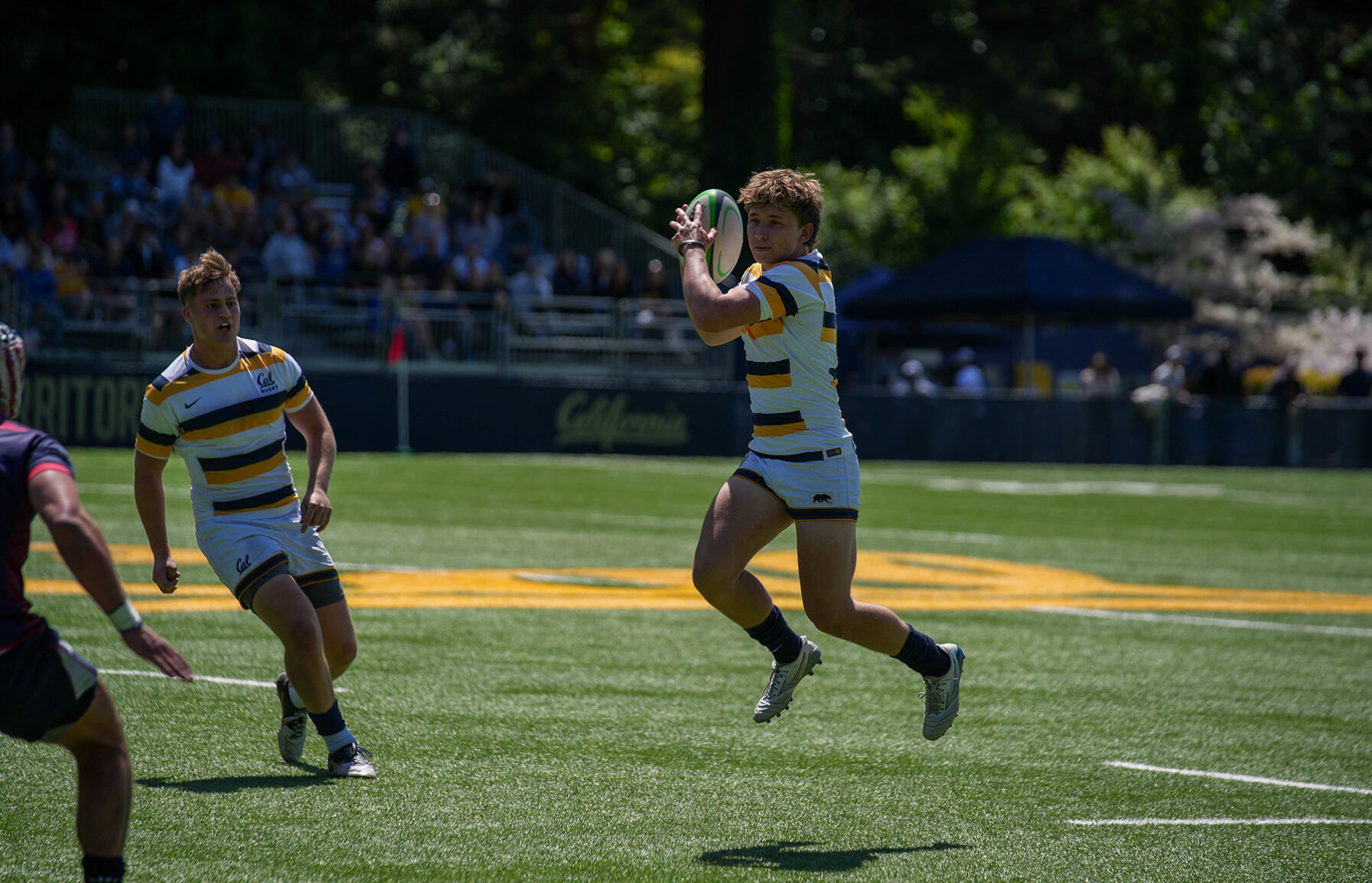 Cal snuffs out Life to capture 34th all-time national title | Rugby ...