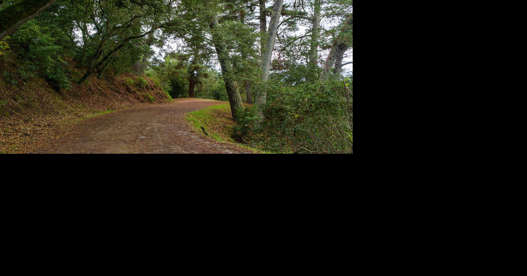 Dead body found near UC Berkeley’s Clark Kerr campus, investigation ...