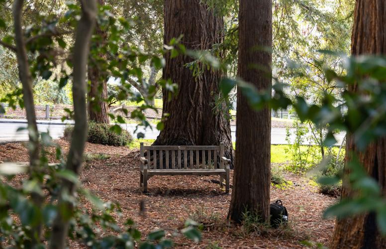 Photo Essay: Best date locations in Berkeley | Photo Essays | dailycal.org