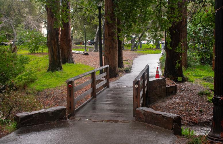 Photo Essay: Best date locations in Berkeley | Photo Essays | dailycal.org