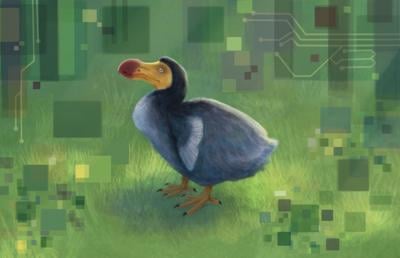 dodo animation