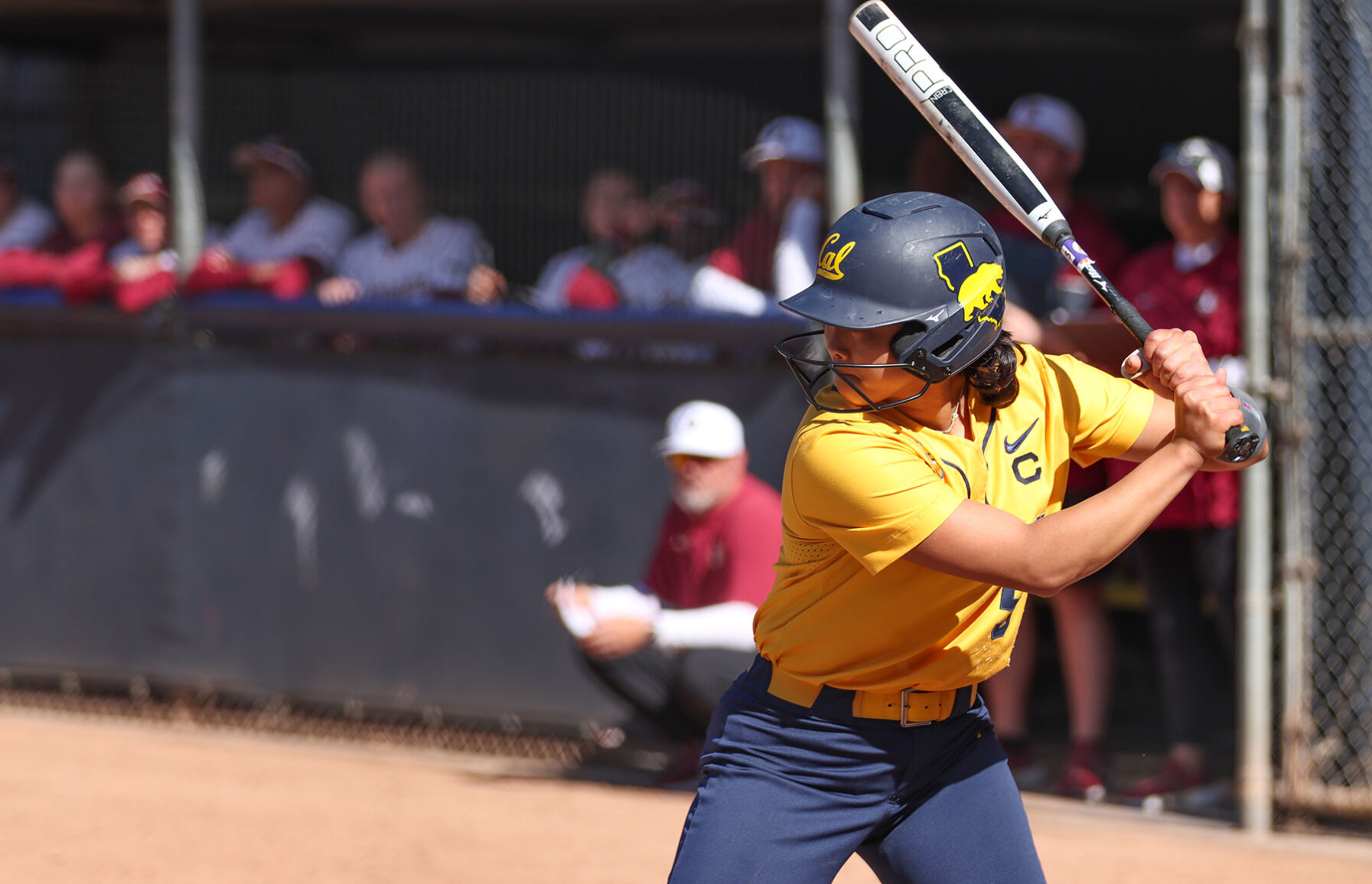 Cal triumphs record-breaking Big Swing despite series loss | Softball ...