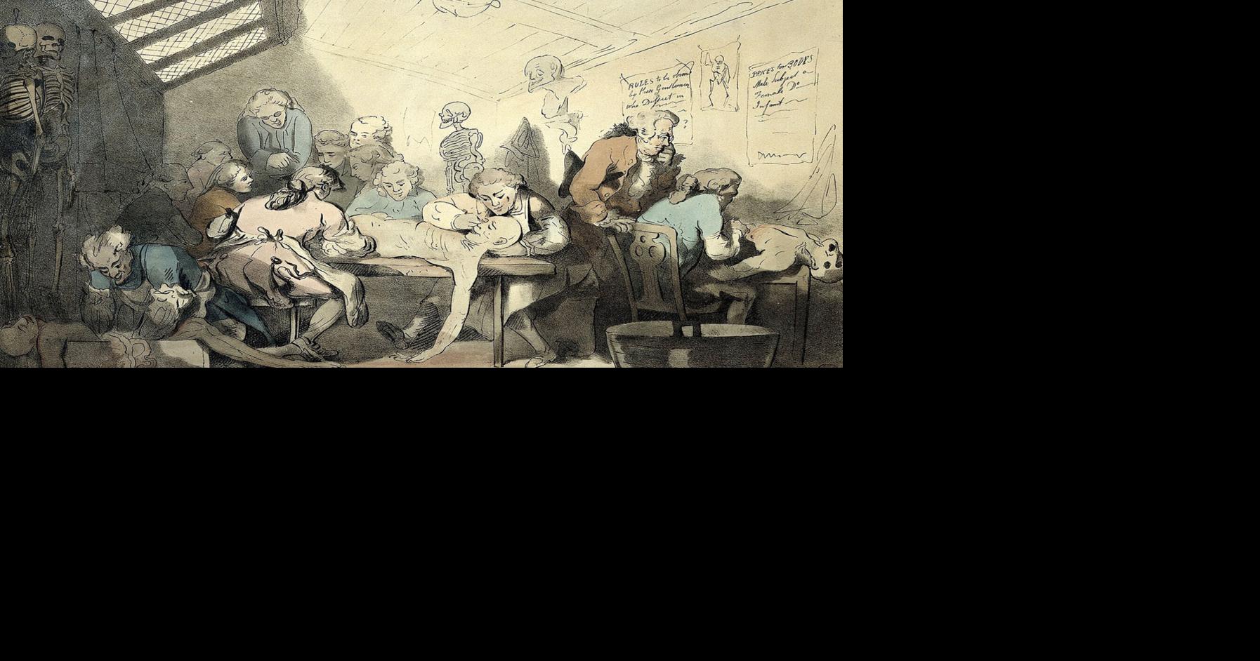 Skeleton of the Irish Giant | Features | dailycal.org