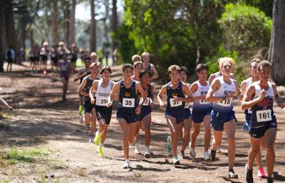 Motion meets momentum in Oregon for Cal cross country | Cross Country ...