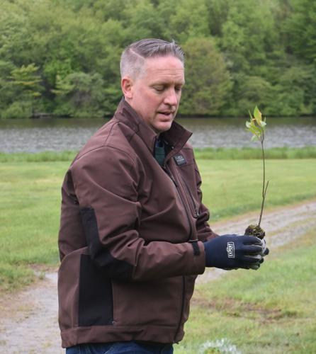 Volunteers plant trees in Acme park | Multimedia | dailycourier.com