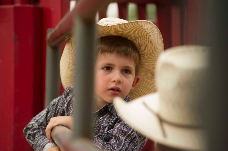 Fayette Fair offers something for everyone | News | dailycourier.com