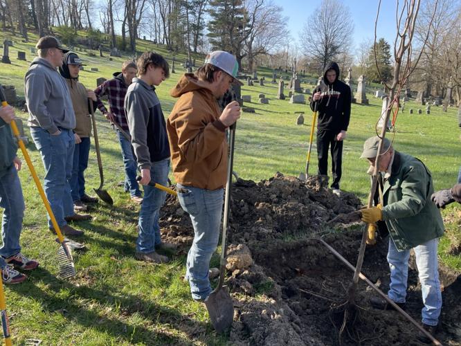Volunteers plant trees throughout city | News | dailycourier.com