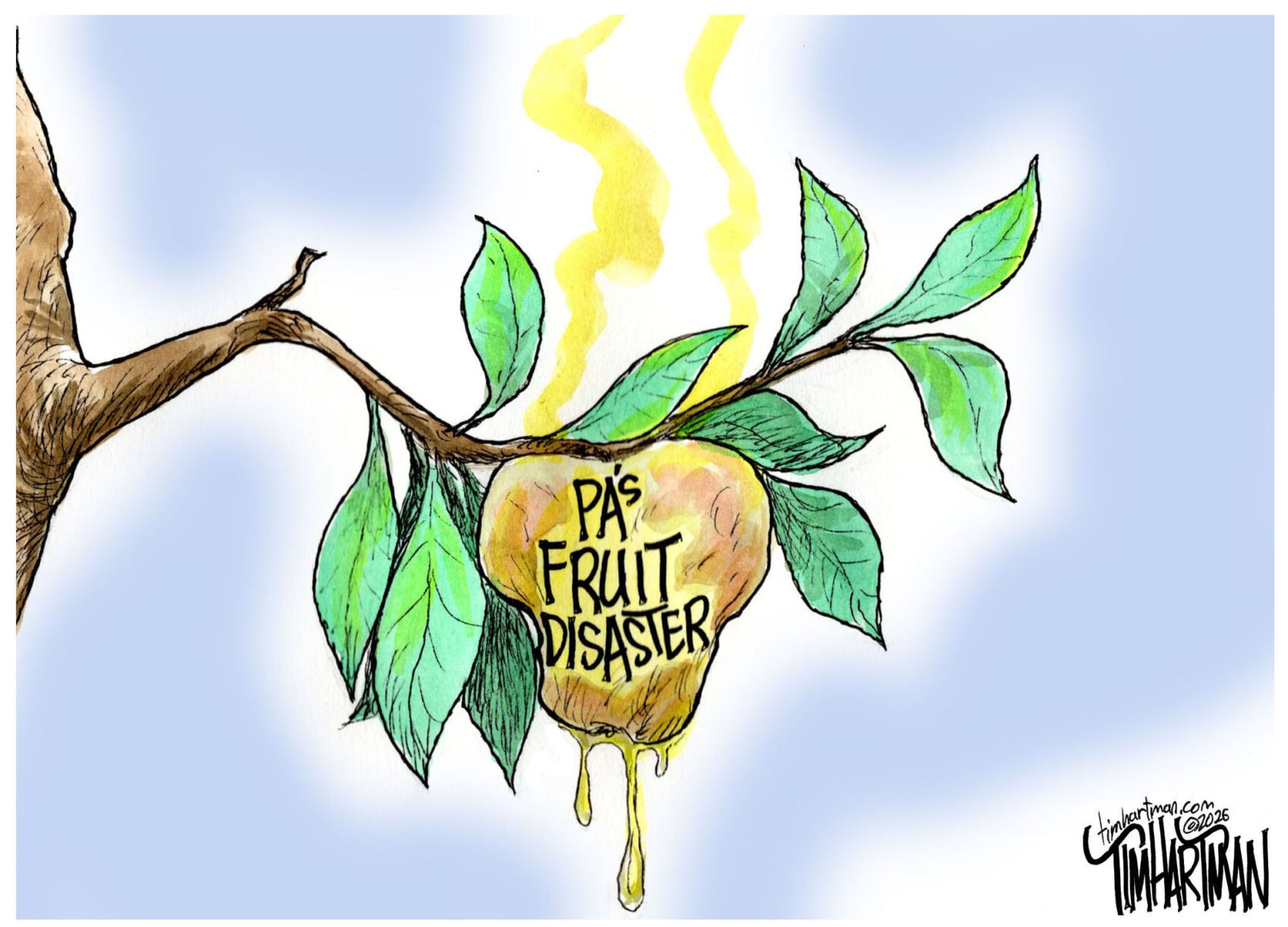 Fruit disaster cartoon | Opinion | dailycourier.com