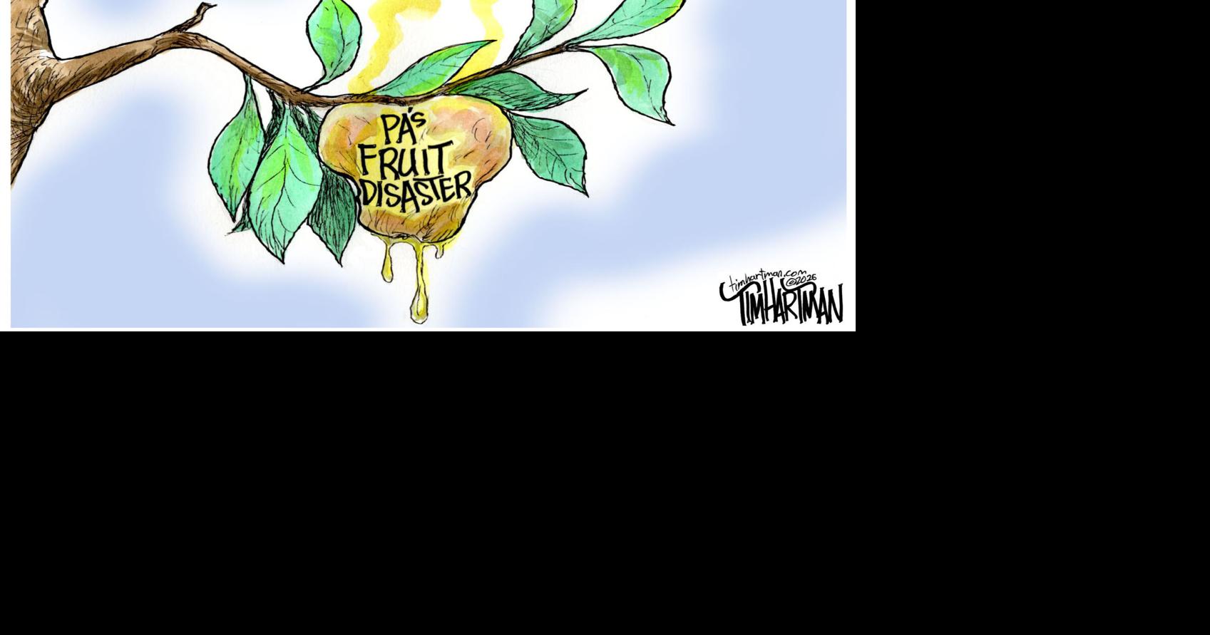 Fruit disaster cartoon | Opinion | dailycourier.com
