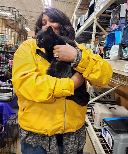 Black cat back home after 5 years on the run | Multimedia ...