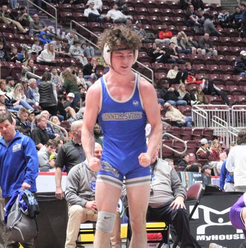 Falcons' Ruggieri clinches spot on podium at states | Sports ...