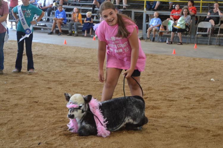 Kids have fun at Fayette Fair | Multimedia | dailycourier.com