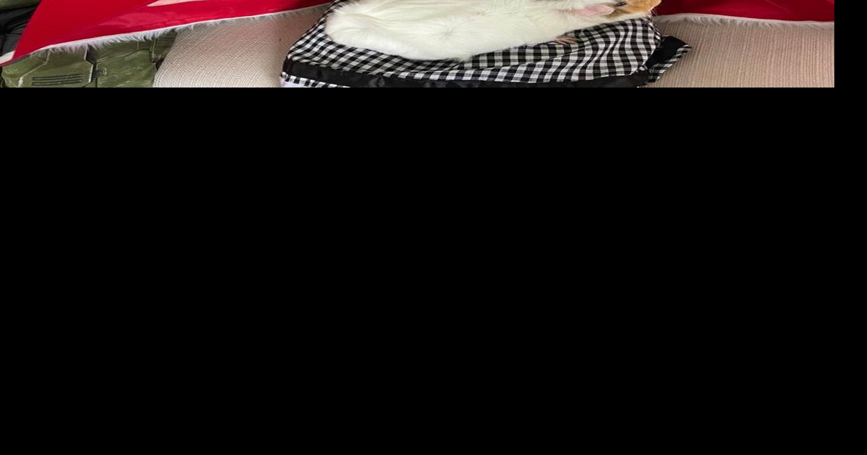 GOOD DAY | News | dailycourier.com