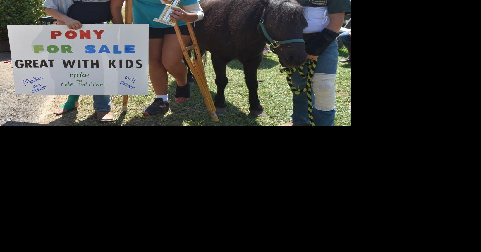 KIDS’ FUN FAIR DAY | Multimedia | dailycourier.com