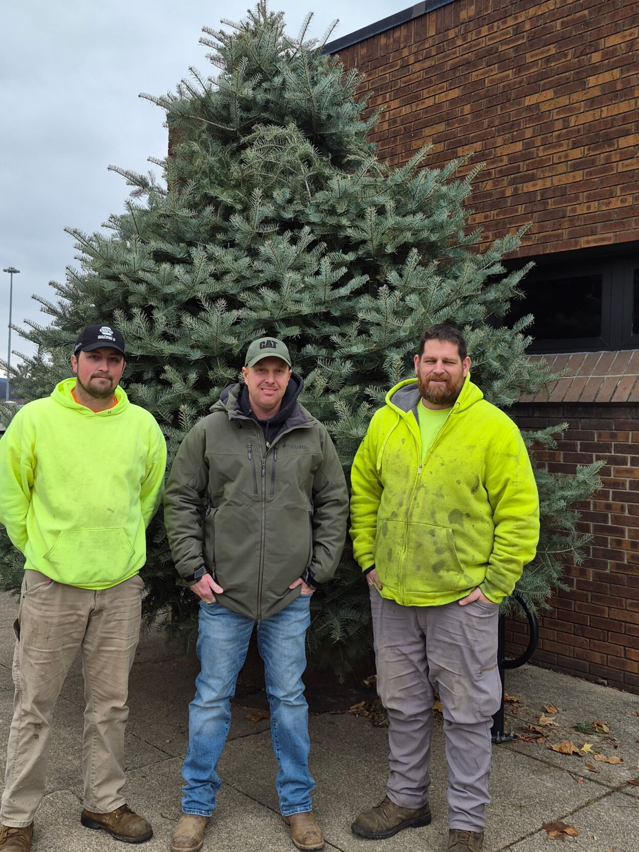 Christmas tree donation | News | dailycourier.com