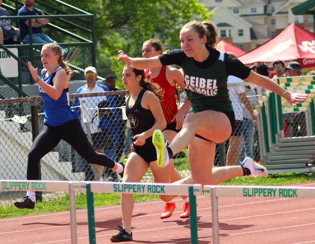 Garn sprints to gold, Larkin hurdles way to silver | Sports ...