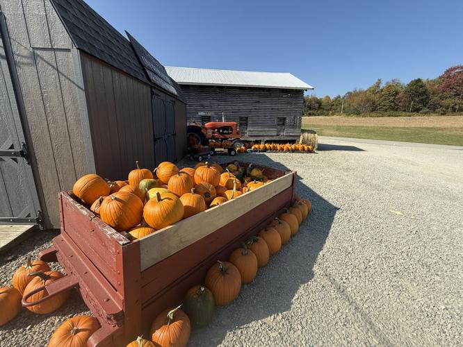 Eight Generations Strong: Whoa Nellie Farm Keeps Tradition Alive in ...