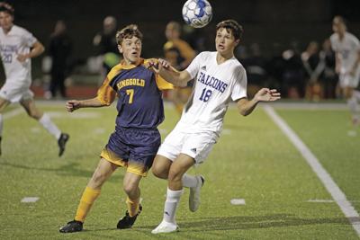 Falcons nipped by Rams in OT | Sports | dailycourier.com