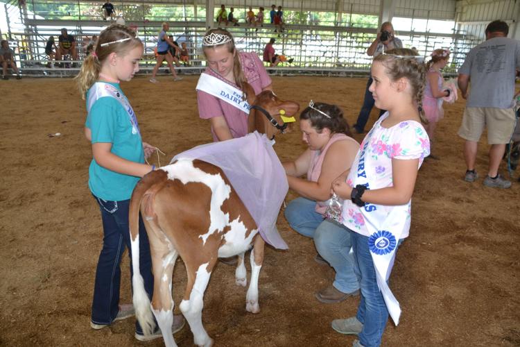 Kids have fun at Fayette Fair | Multimedia | dailycourier.com