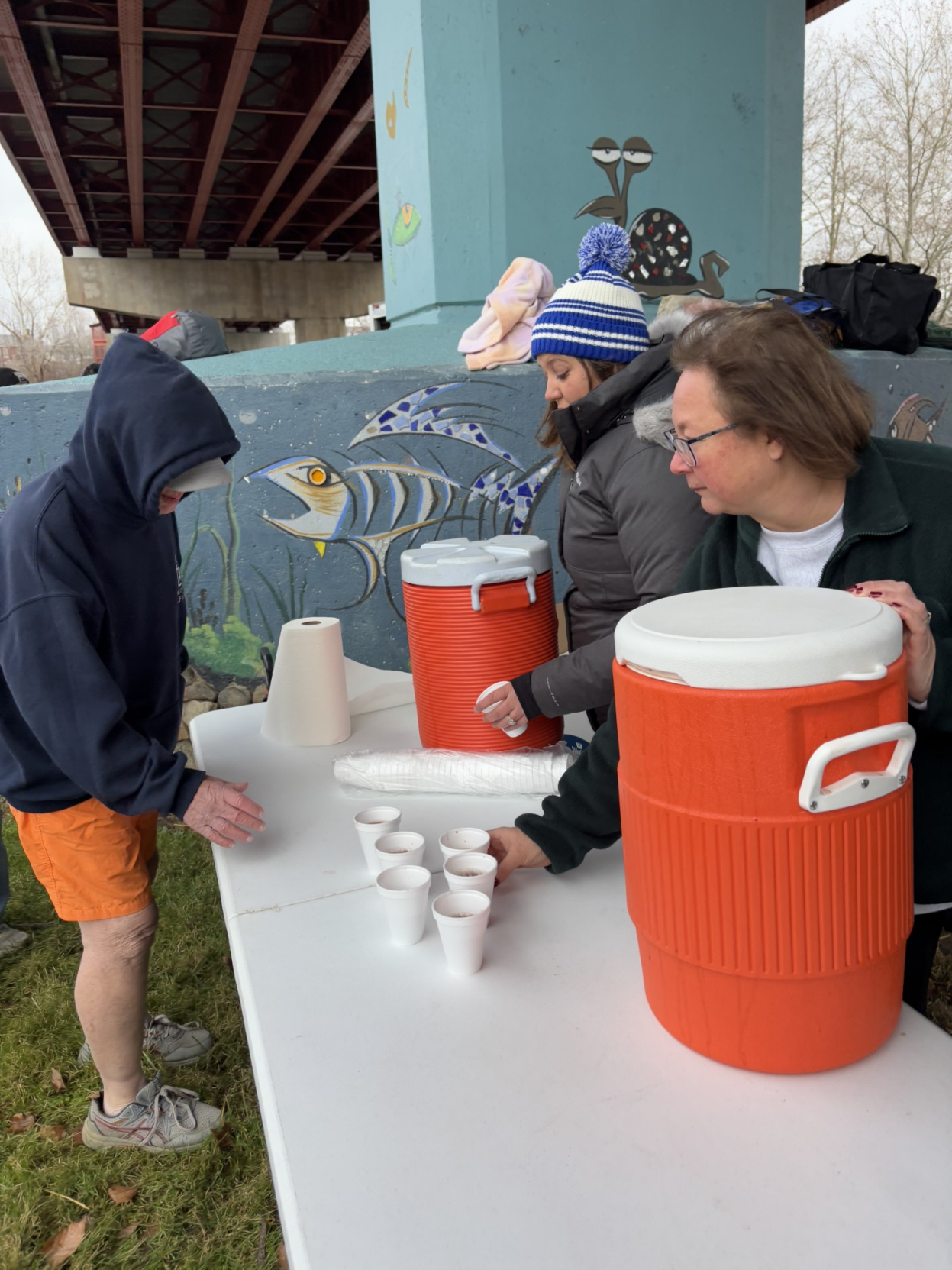 POLAR PLUNGE 2025 | News | dailycourier.com