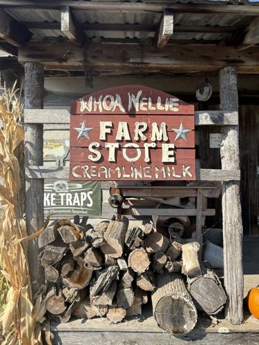 Eight Generations Strong: Whoa Nellie Farm Keeps Tradition Alive in ...