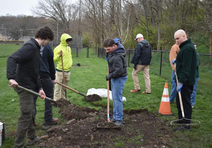 Volunteers plant trees throughout city | News | dailycourier.com