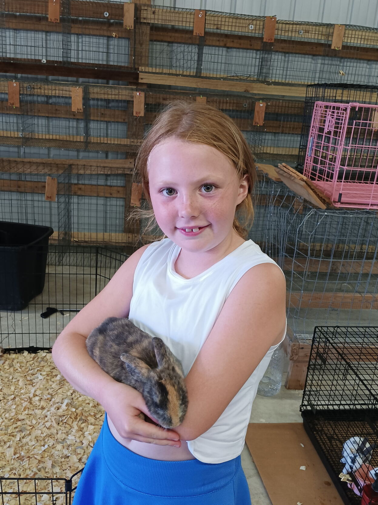 Bullskin Fair Week kicks off | Multimedia | dailycourier.com