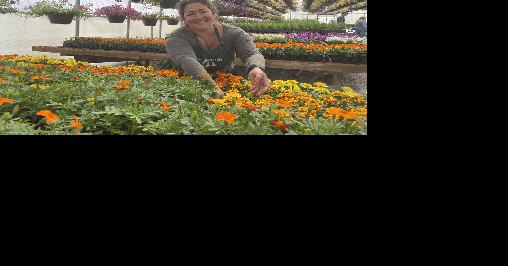 FLOWERS BLOOM | Multimedia | dailycourier.com