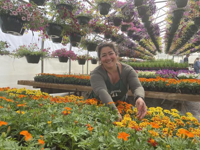 FLOWERS BLOOM | Multimedia | dailycourier.com