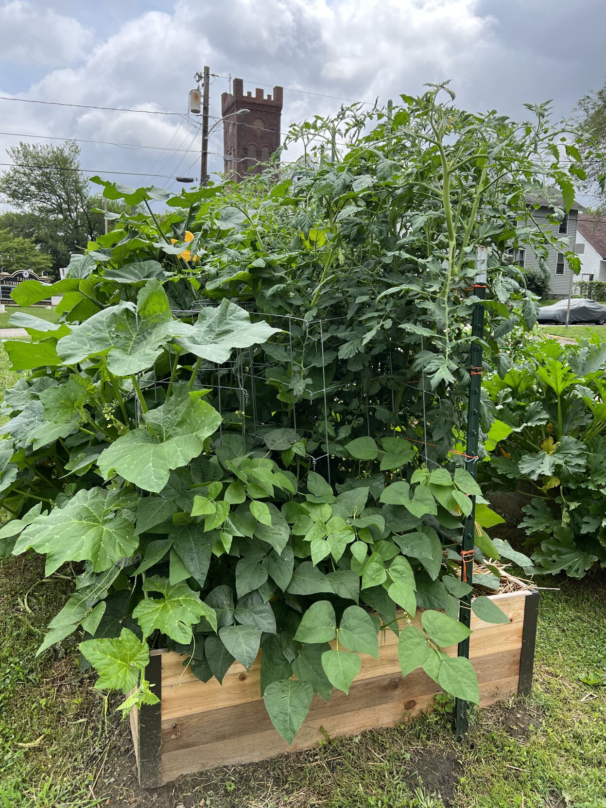 Seed to Supper program coming to library | News | dailycourier.com