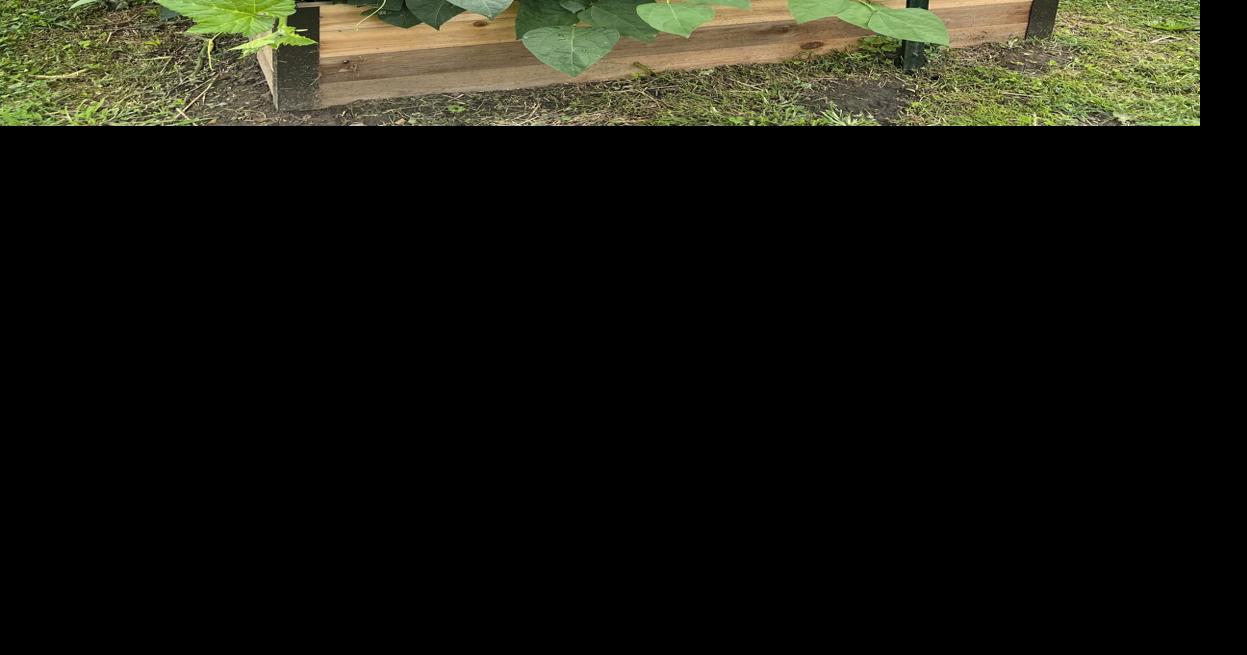 Seed to Supper program coming to library | News | dailycourier.com