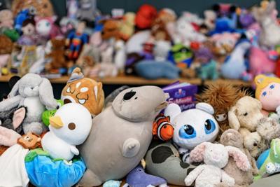 What's inside your teddy bear? | News | dailycourier.com