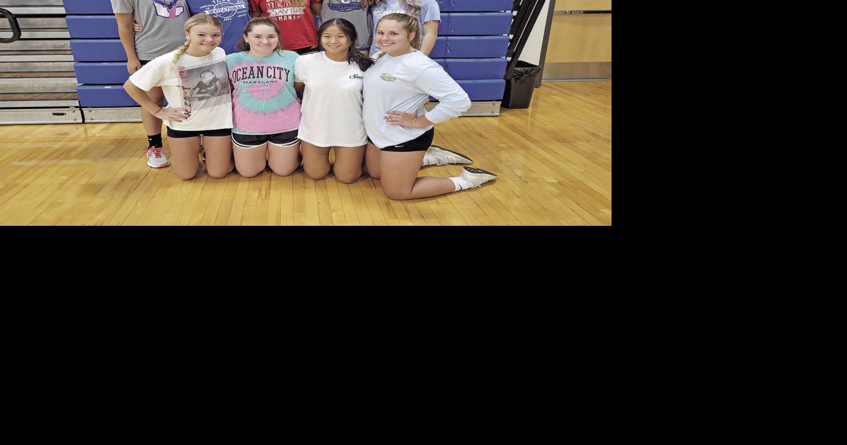 Falcons hope experience pays off | Sports | dailycourier.com