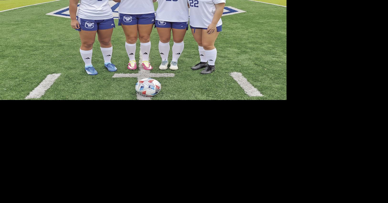 Falcons to rely on veteran leaders | Sports | dailycourier.com