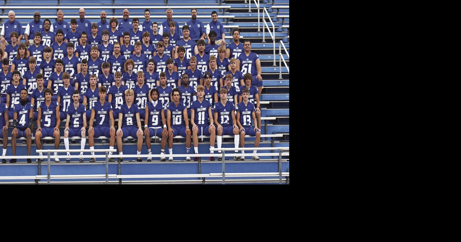 Falcons look to build on foundation | Sports | dailycourier.com
