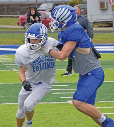 Falcons looking for defensive improvement | Sports | dailycourier.com