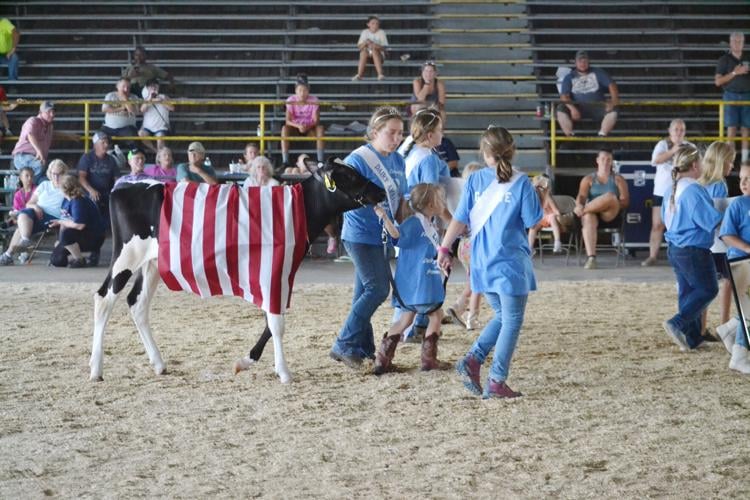 4-H Fun at the Fair | News | dailycourier.com