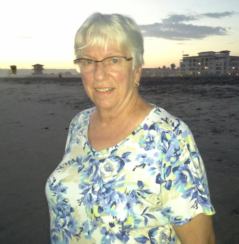 Sharon L. Riffle | Obituaries | dailycourier.com