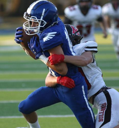 Falcons fall in overtime | Sports | dailycourier.com