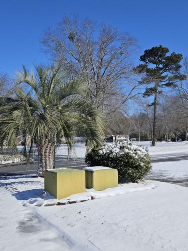 Snowing in Myrtle Beach | Multimedia | dailycourier.com