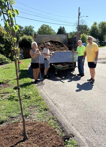 Mulching project | News | dailycourier.com