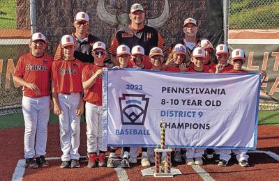 Bullskin 9-10s win District 9 title | Sports | dailycourier.com