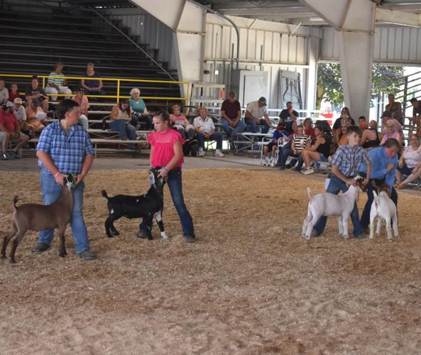 Seen at the Fayette County Fair | Multimedia | dailycourier.com