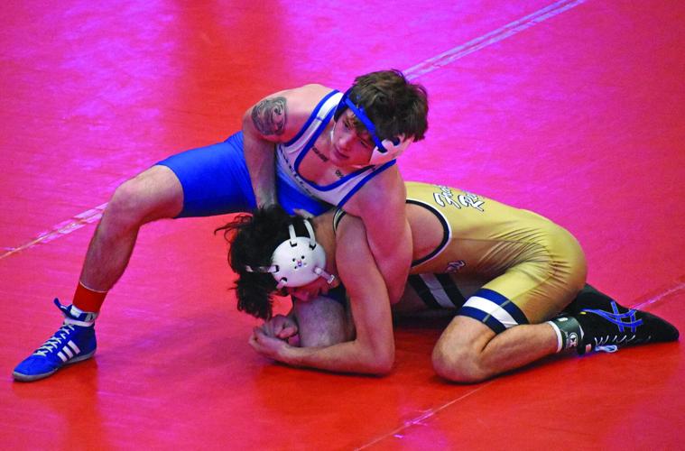 Falcons make states, take third at WPIALs | Sports | dailycourier.com