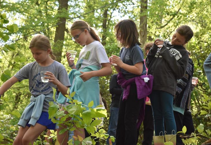 Trout in the Classroom | Multimedia | dailycourier.com