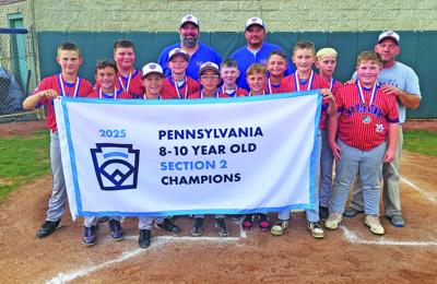 Mt. Pleasant claims Section 2 title | Sports | dailycourier.com